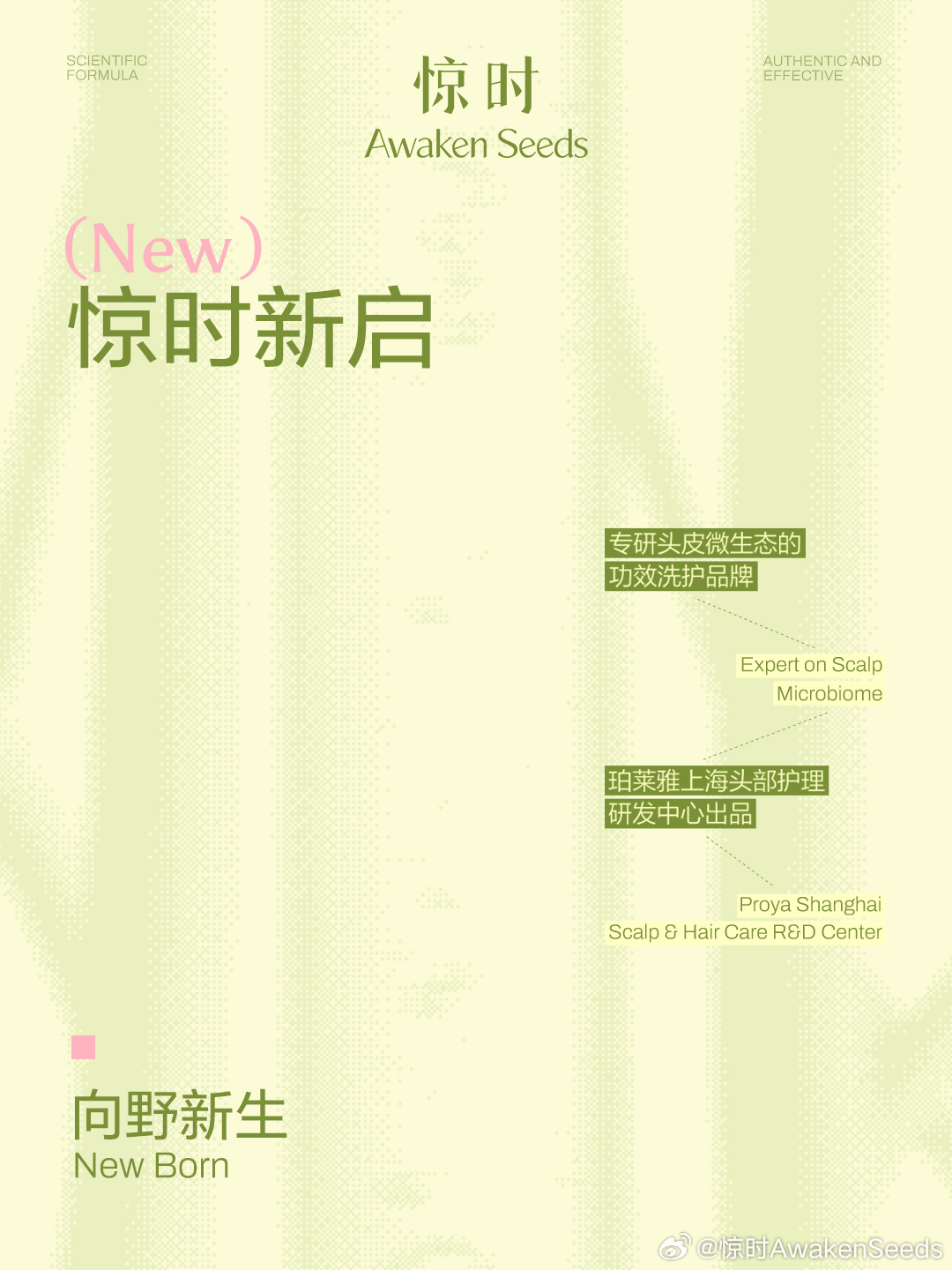 珀莱雅推出全新洗护品牌惊时 - 广告人干货库